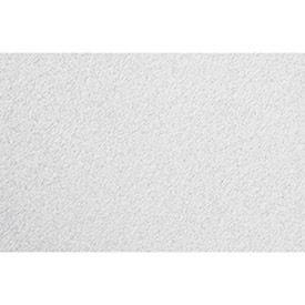 Ceiling Tile | Ceiling Tile - Mineral | USG Mars™ ClimaPlus™ Ceiling ...